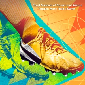 Must-See Educational Museum Exhibits for Student Trips: Summer 2026 ...